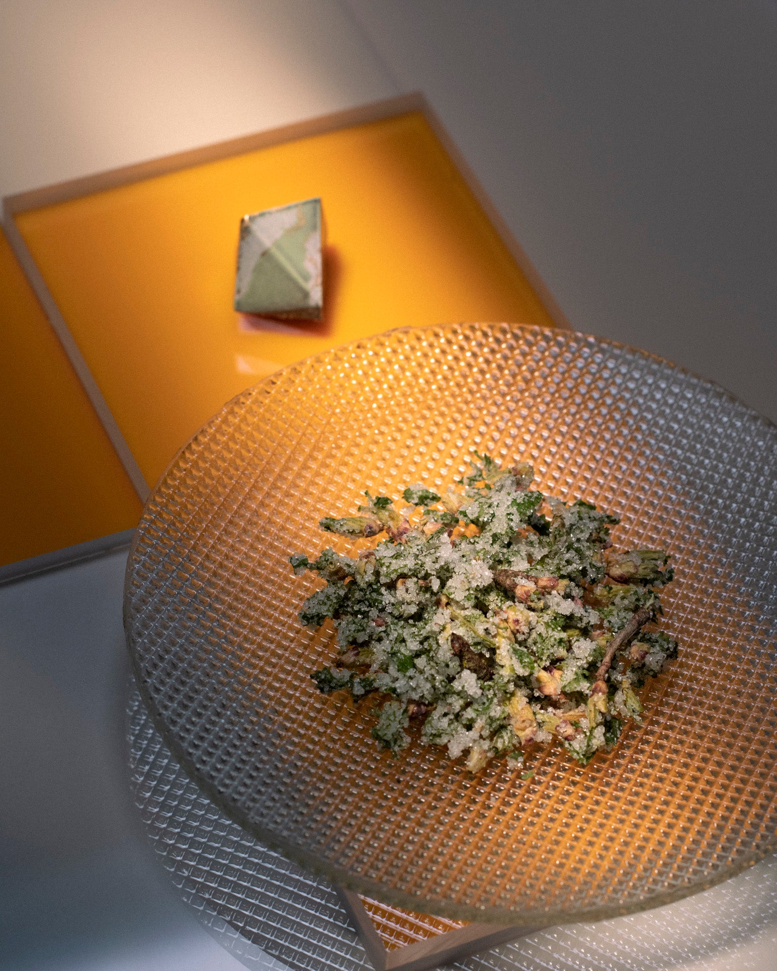 Cassis buds in a chocolate candy – pars Pralinen